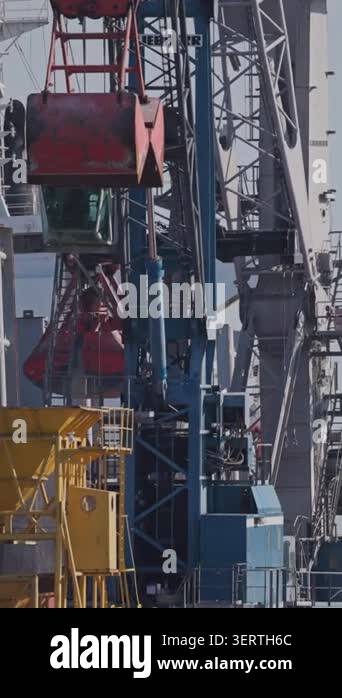 Cranes move containers at a busy port. Workers operate heavy machinery ...