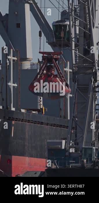 A crane lifts a red cargo container from a ship at the port. Workers ...