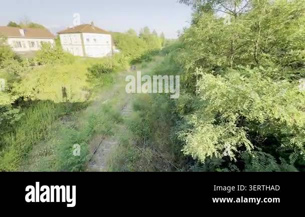 Disused overgrown railway line at Mirecourt with old station buildings ...
