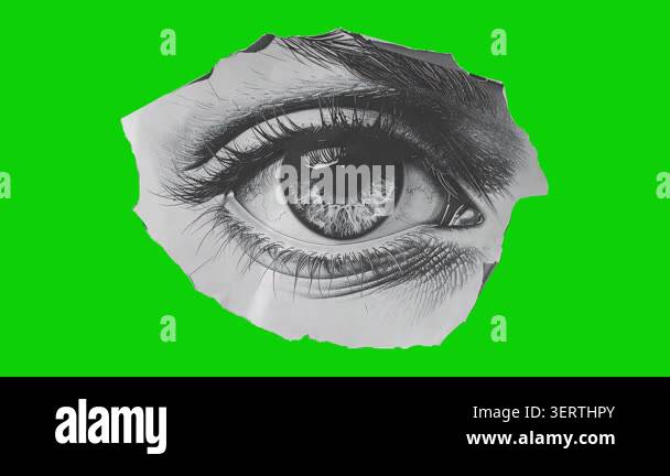 Paper opens showing an eye sketch close-up, detailed and artistic ...
