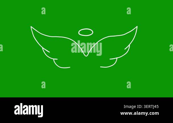 Heavenly hand drawn angel wings on green screen. Divine flight sketch ...