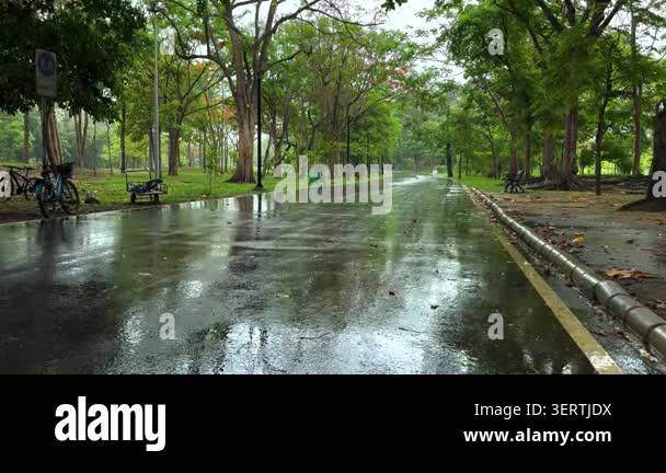 A serene morning view of a paved pathway inside Rod Fai Park ...