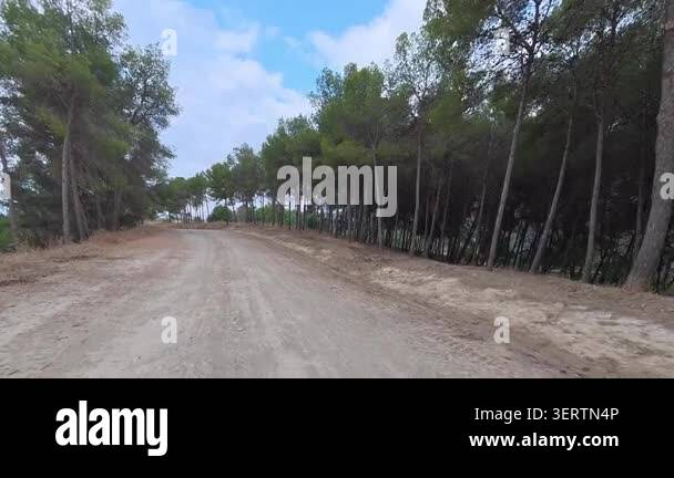 road in the forest Stock Video Footage - Alamy
