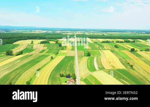 Corn fields in Veliki Zdenci agriculture area. Beautiful rural ...