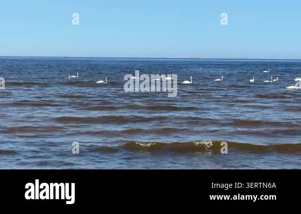beautiful view of the sea Stock Video Footage - Alamy