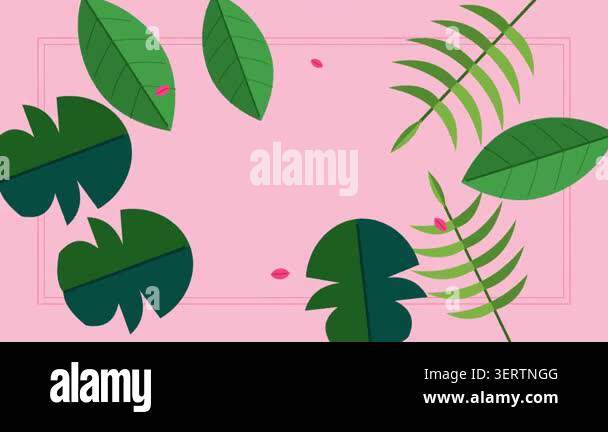 Minimalist Tropical Jungle Leaves Frame Loop Animation Stock Video ...