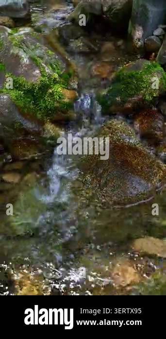 small waterfall in the forest Stock Video Footage - Alamy