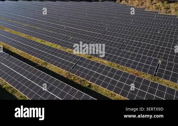 Large solar farm with many photovoltaic panels harnesses renewable ...