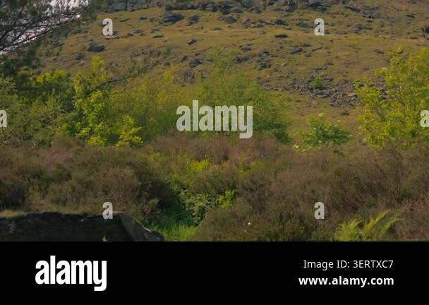 Saddleworth moors hill England wide 4k tilting shot selective focus ...