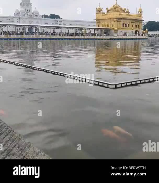 Beautiful view of Golden Temple - Harmandir Sahib in Amritsar, Punjab ...