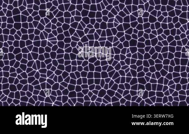 Animated dark purple background with a white organic network of ...