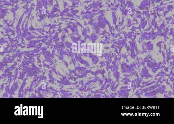 Animated purple and white abstract fluid pattern, resembling liquid ...