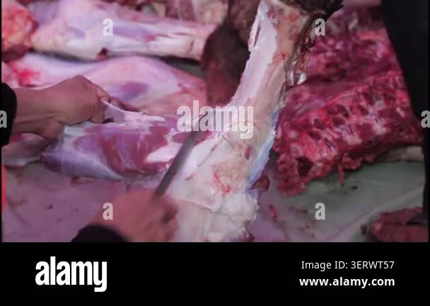 close up of hands cutting goat meat during the slaughter of sacrificial ...