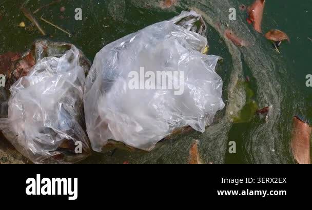 Plastic bag floating in water, pollution and plastic waste crisis ...