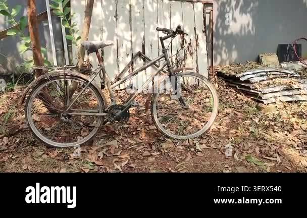 Rusted bicycle leans against weathered wooden fence. Dried leaves ...