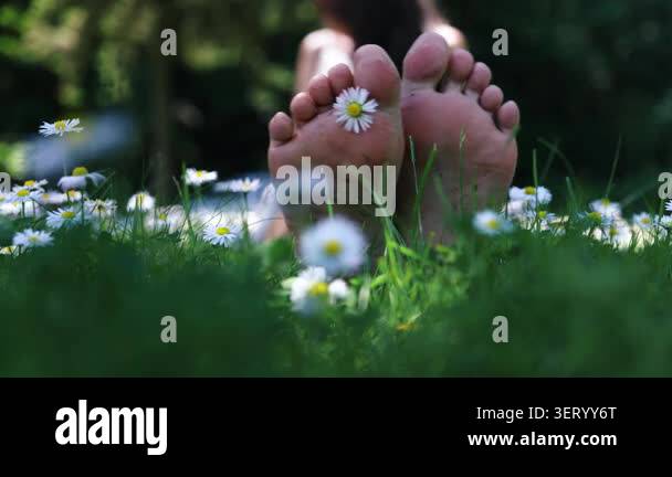Healthy foot. Field chamomile happiness chamomile field legs. White ...