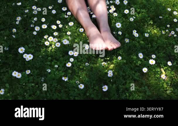 Healthy foot. Field chamomile happiness chamomile field legs. White ...