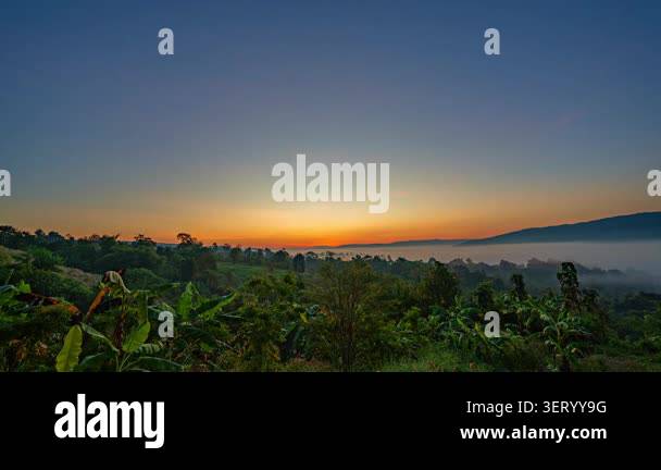 Time lapse of a sunrise over a misty valley with lush green foliage in ...