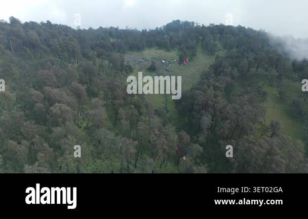 Aerial View of a Lush Green Forest Camp with Colorful Tents in a Serene ...