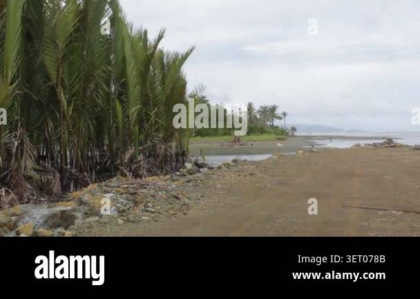 Long River in Sabang Surigao del Norte Philippines with amacan Tree ...