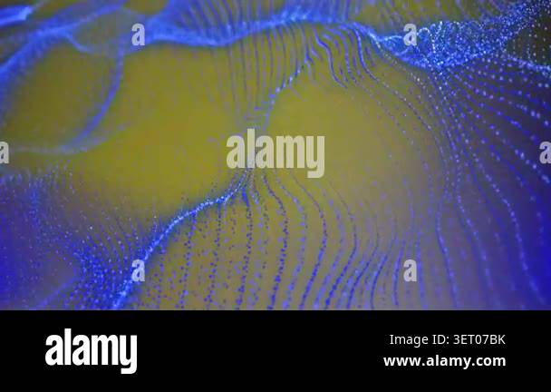 Abstract digital waves formed by glowing particles move across a ...