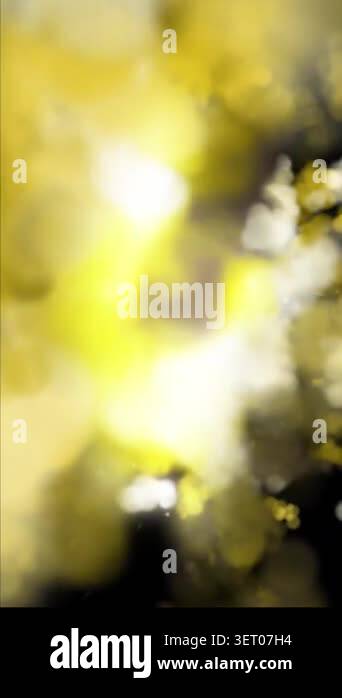 An abstract composition with blurred floating particles and dreamy ...