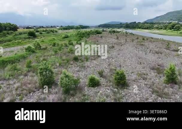 Green plants growing along empty gravel road Stock Video Footage - Alamy