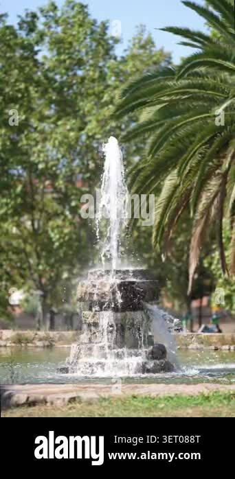 Water fountain surrounded by green palm trees Stock Video Footage - Alamy
