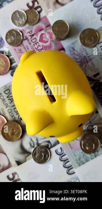 A piggy bank as a concept for storing, accumulating, and saving ...