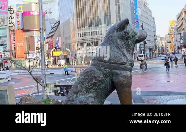 Hachiko Statue With Shibuya Crossing Background Tokyo Japan. High ...