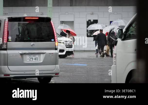 Tokyo Japan February 23, 2026: Pedestrians With Umbrellas Crossing ...