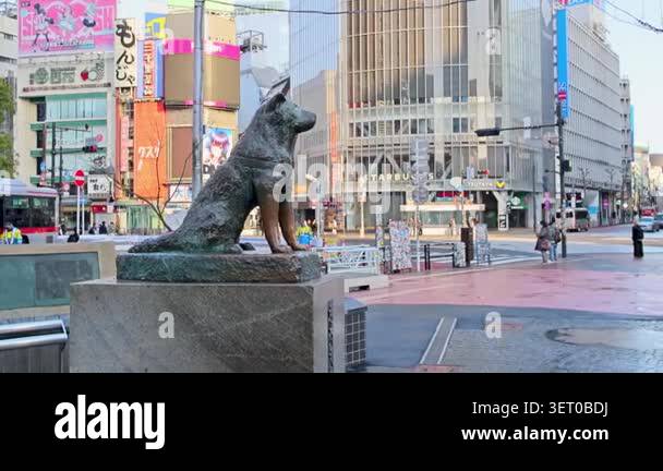 Wide Shot of Hachiko Statue and Shibuya Crossing Tokyo Japan. High ...