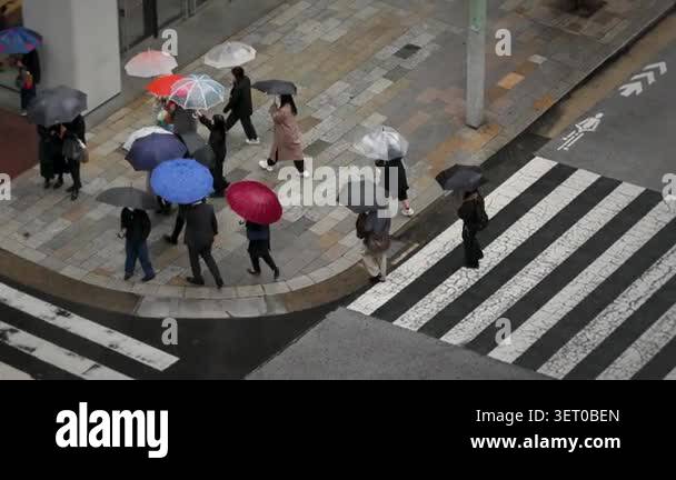 Rainy Ginza Tokyo Crosswalk Pedestrians Umbrellas Luxury Avenue. High ...
