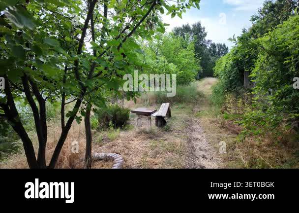 Cinematic 4K 24fps first-person view tracking shot through green trees ...