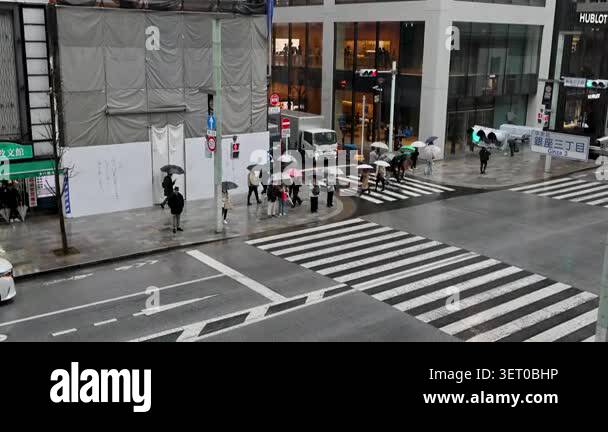 Tokyo Japan February 23, 2026: Tokyo Ginza Street Crossing During Rainy ...