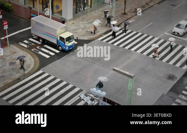 Rainy Ginza Tokyo Intersection Crosswalk Umbrella Pedestrian Scene ...