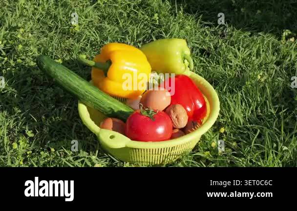 Fresh organic vegetables, eggs, and walnuts sitting in a colander on ...