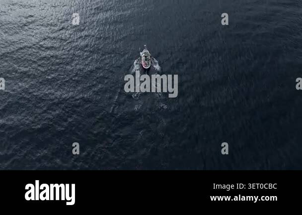 Top-down aerial shot of a small white motorboat with a person at the ...
