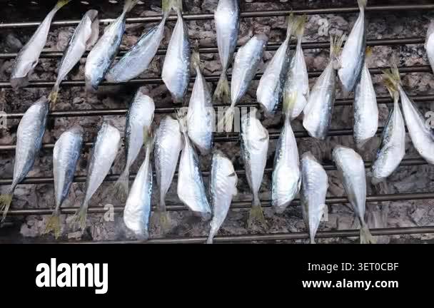 Top down view of fresh sardines cooking on a barbecue grill over hot ...