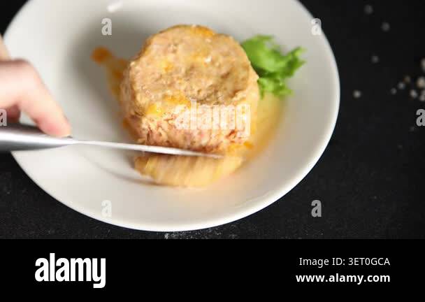 Pate meat pork or chicken terrine tasty snack fresh delicious gourmet ...
