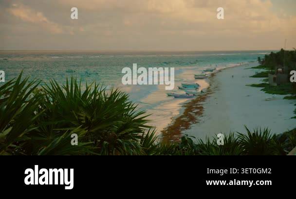 Caribbean beach with boats palm leaves and soft waves glows at sunset ...
