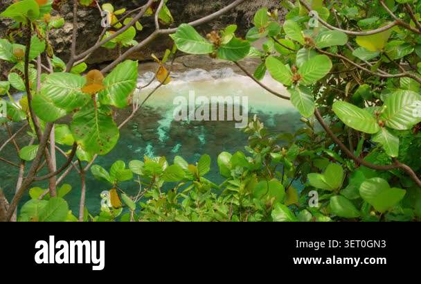 Coastal vegetation frames turquoise ocean water leading to small hidden ...