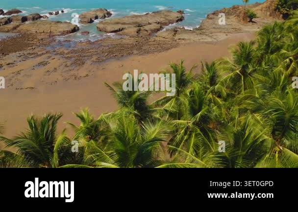 Aerial view of tiny woman walking on sandy beach with palm trees and ...