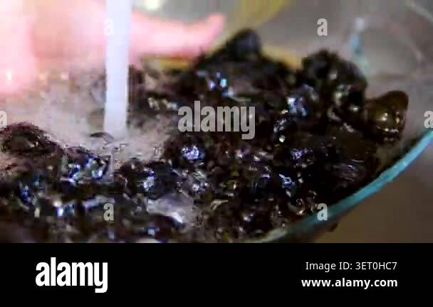 Dried prunes are poured into a glass bowl, rinsed with water and ...