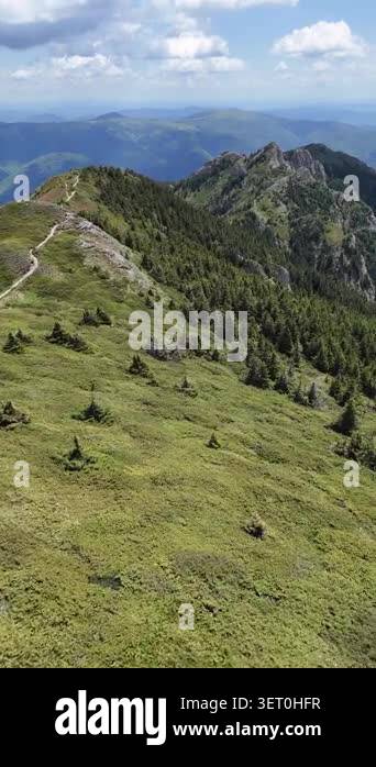 Ciucas Mountains pine forest ridge and rocky peaks aerial view Romania ...