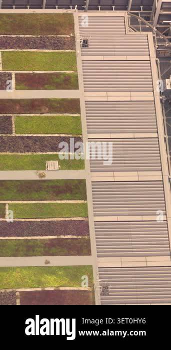 Urban rooftops converted into living plant zones improving atmospheric ...