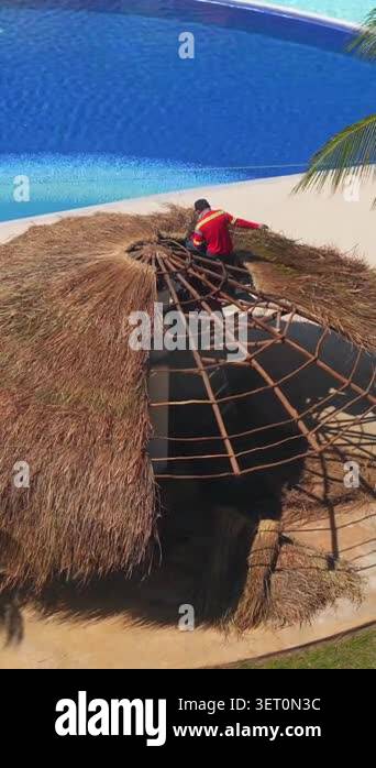 Service workers covering palapa roof with palm leaves in tropical ...