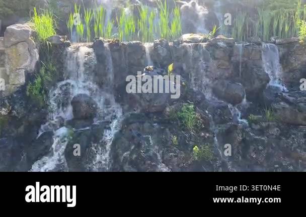 Cascading waterfall flowing over natural rocks with reeds and sparkling ...