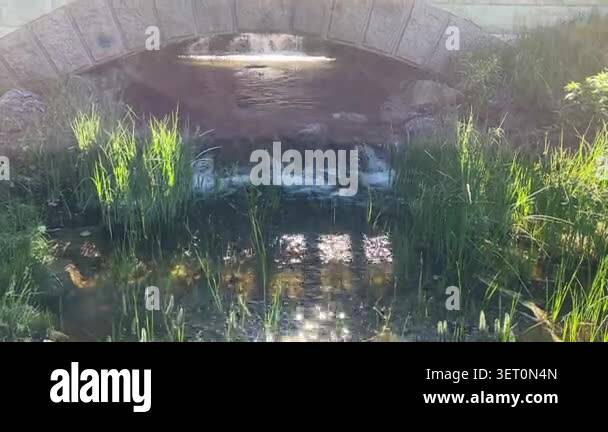 Stone arch bridge over tranquil stream with flowing water reeds and ...