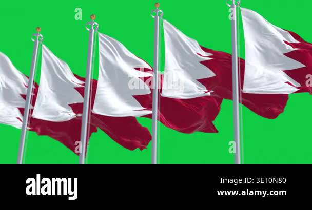 Bahrain national flags waving isolated on green background. Seamless 3D ...